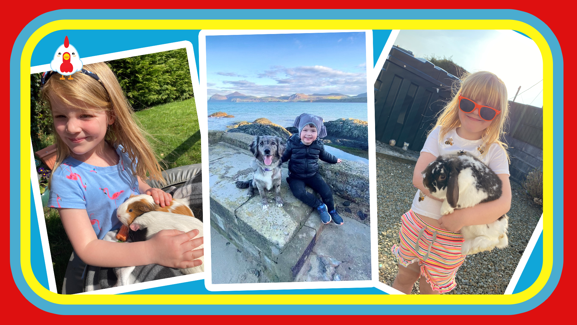 Pets Competition - Cyw