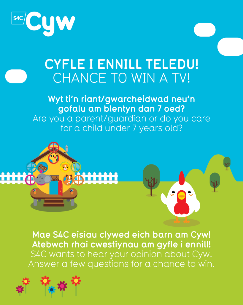 Cyw Questionnaire - Cyw